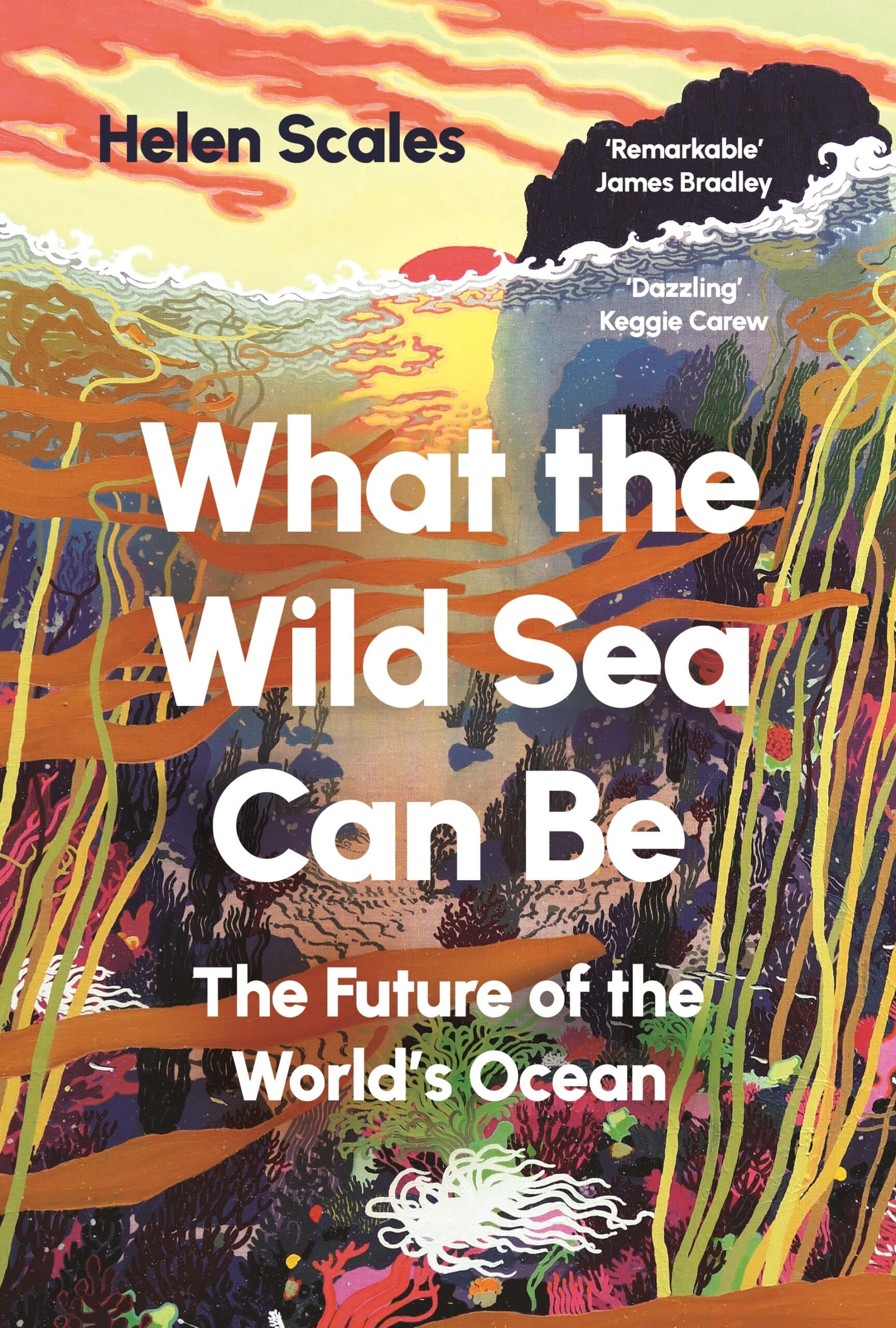 HELEN SCALES: What the Wild Sea Can Do | Budleigh Salterton Literary ...